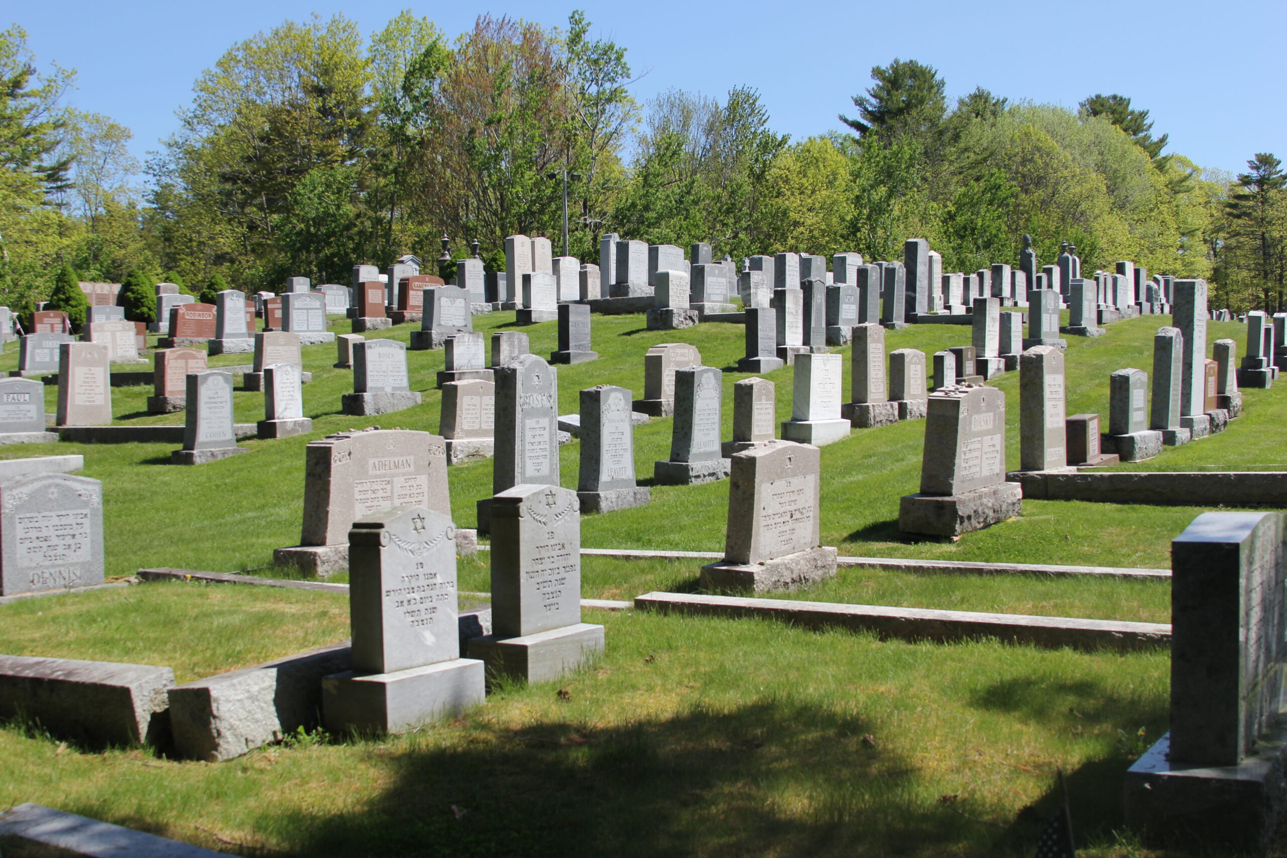 Beth Israel Cemetery Incorporated